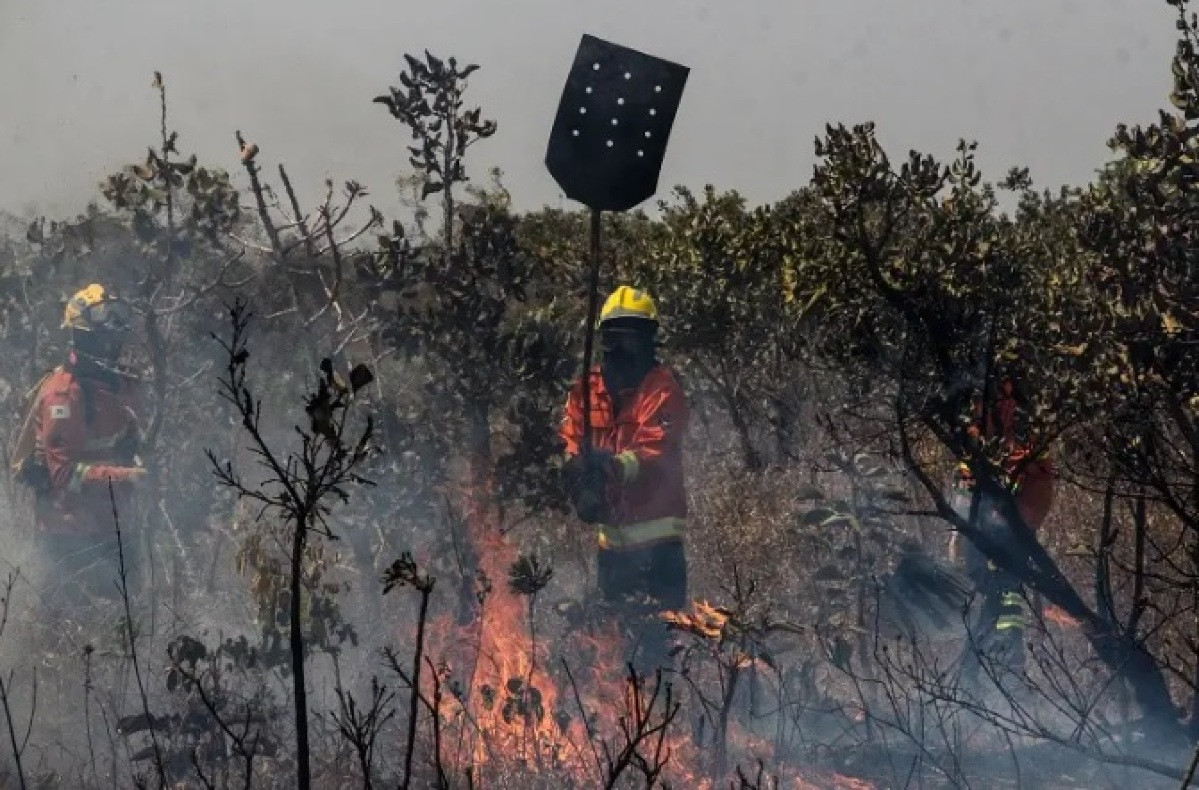 Mato Grosso enfrenta aumento de 200% no número de municípios em seca ...
